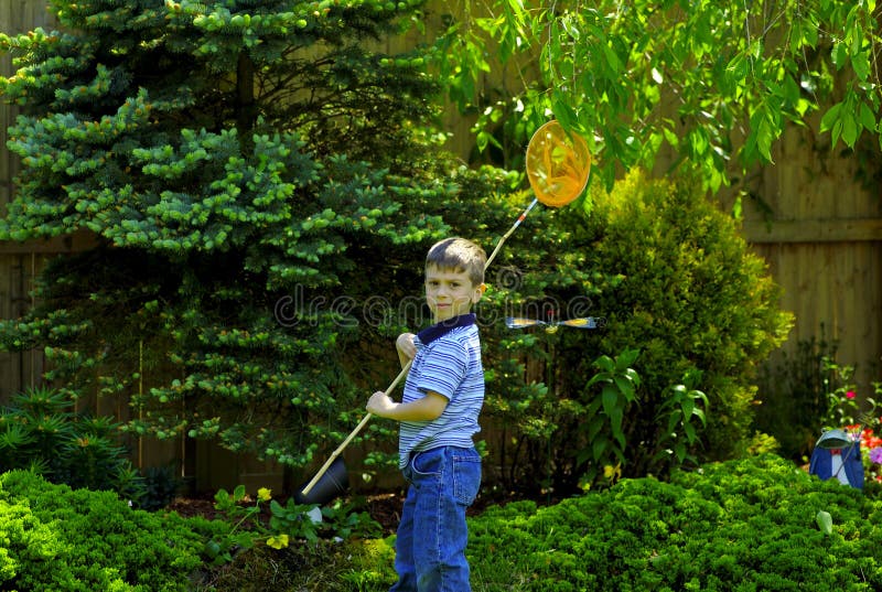 Bug Catching 3 Picture. Image: 134491