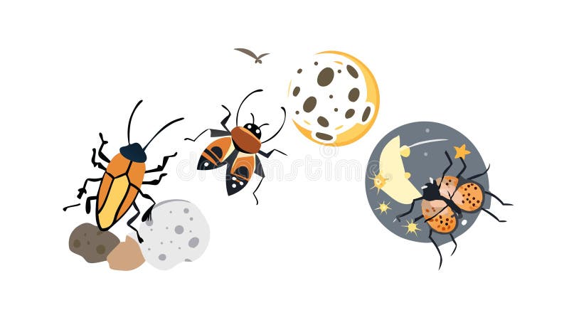 Bug Collection, Entomology Study, Insect Diversity, Vector Design ...