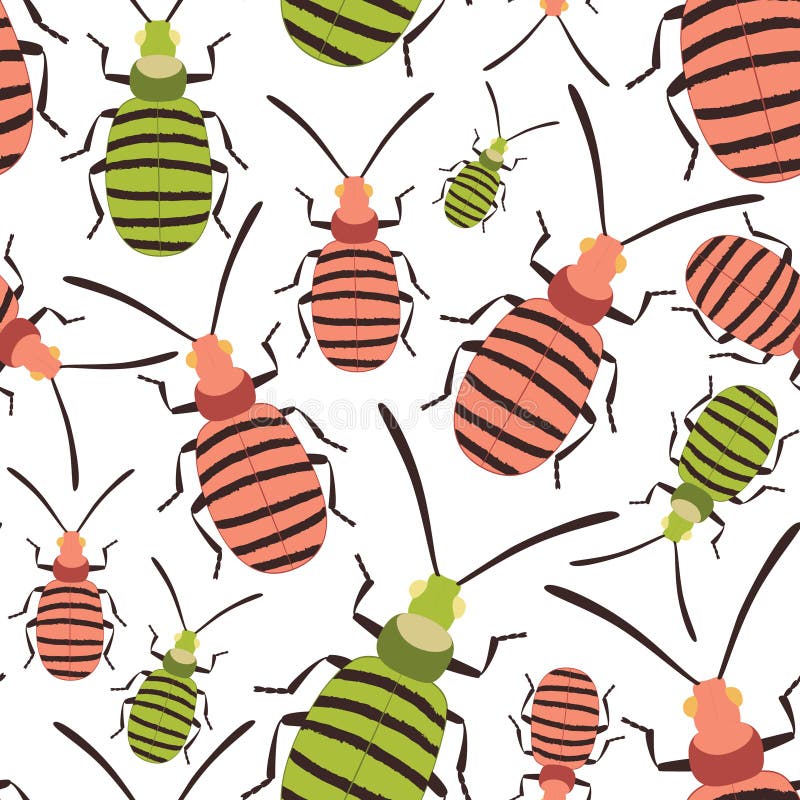 Bug Colorful Seamless Pattern on White. Insect Summer Background Stock ...