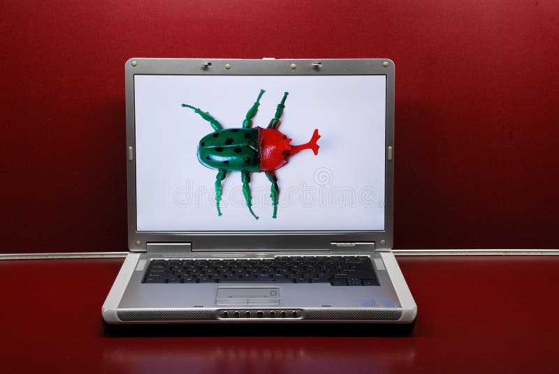 Bug in the computer stock photo. Image of data, broken - 5704266