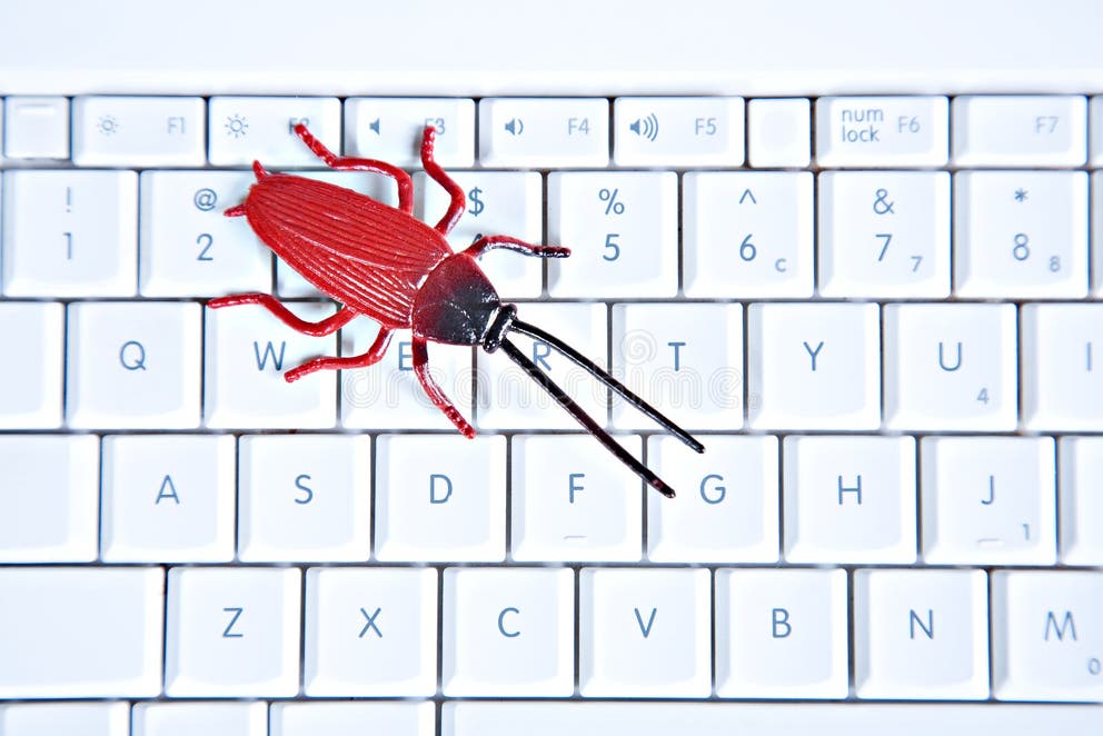 Bug on Computer Keyboard stock image. Image of equipment - 21385167