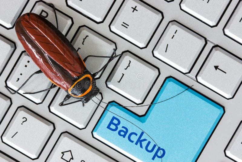 Bug on the Computer Keybord Stock Image - Image of computing, hacker ...