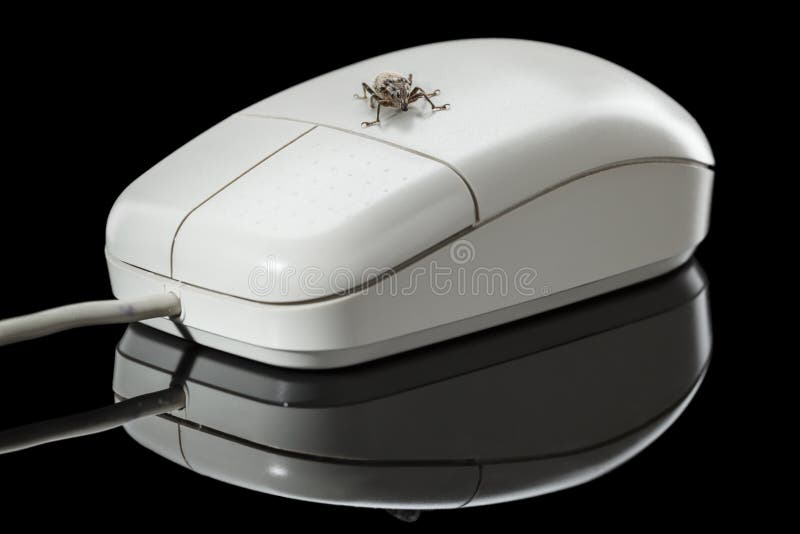 Bug and computer mouse stock photo. Image of mouse, corrupt - 48706634
