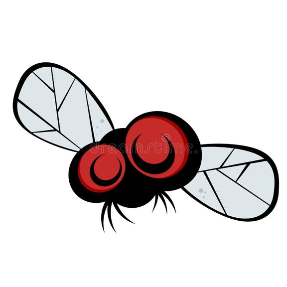 Bug-Eyed Fly Cartoon stock vector. Illustration of winged - 21739756
