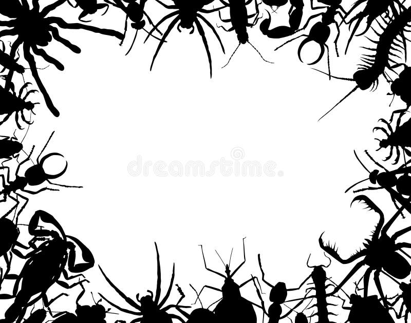 Bug frame stock vector. Illustration of border, animal - 6910478