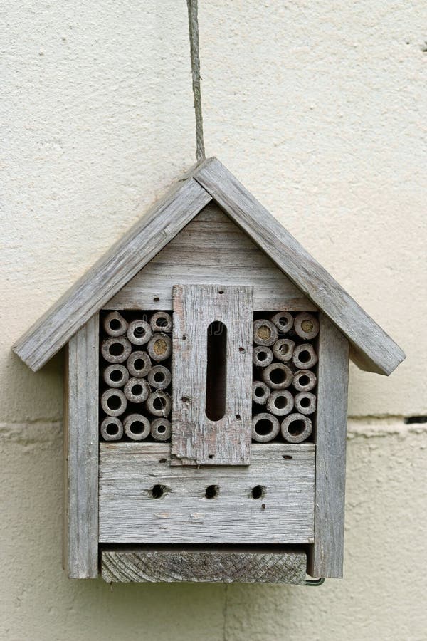 Bug Hotel Bird Stock Photos - Free & Royalty-Free Stock Photos from ...