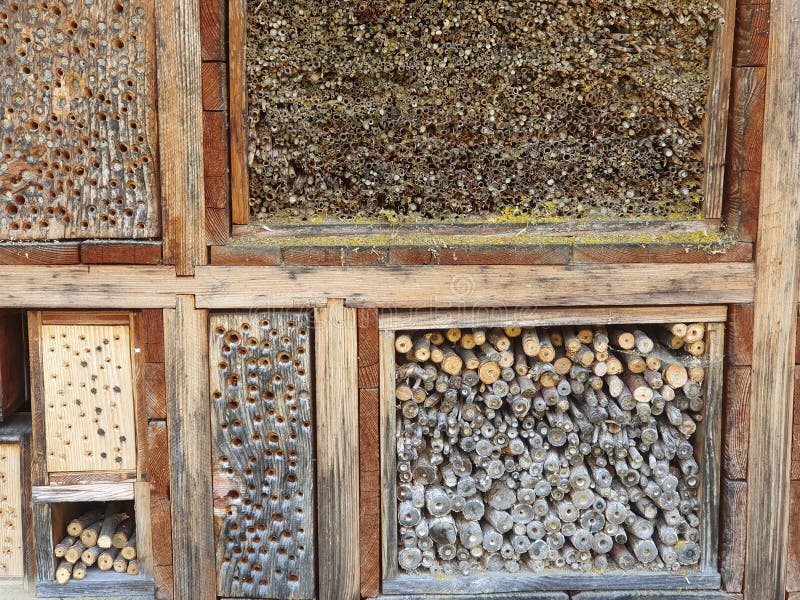 Bug Hotel Close Up. Wooden Eco Materials for Insects. Stock Photo ...