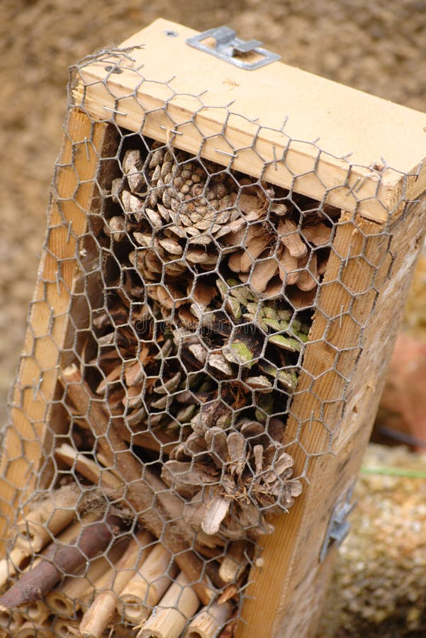 Bug hotel stock image. Image of hibernation, insects - 52249005