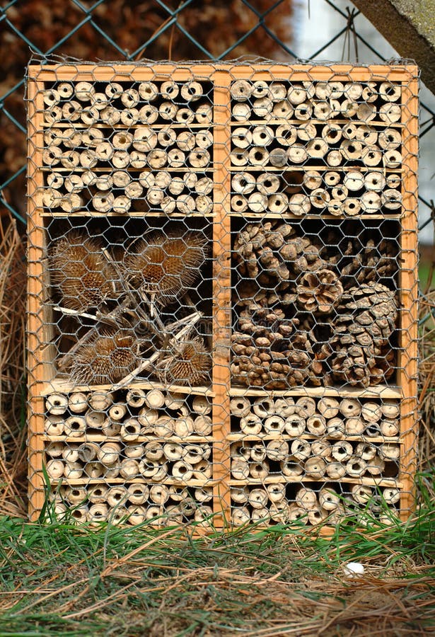 Bug hotel stock image. Image of hideout, insect, attract - 52286395