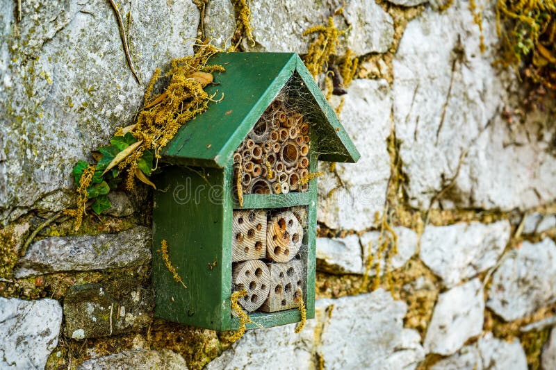 Bug Hotel Fixed on Stone Wall Stock Image - Image of wall, eall: 281753623