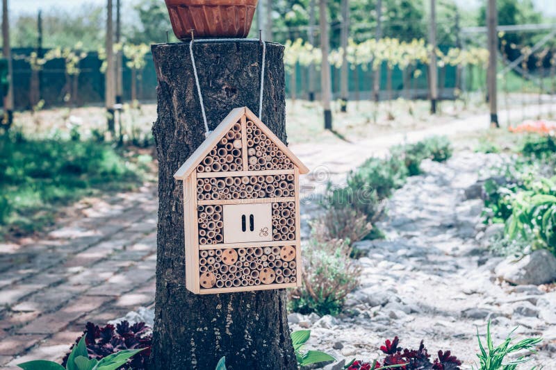Bug hotel in the garden stock photo. Image of wildlife - 358106128