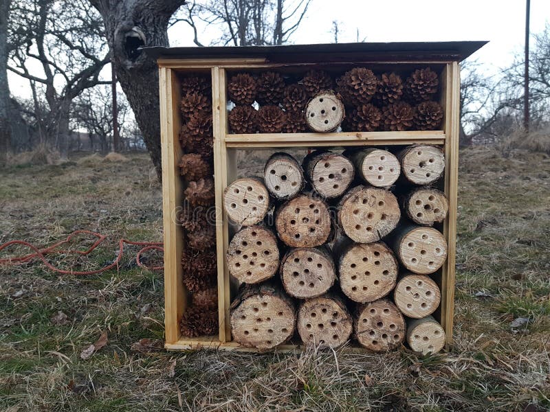 Bug hotel in the outdoors stock image. Image of living - 258865635