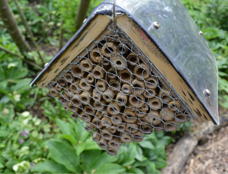 Bug house stock photo. Image of tube, bugs, book, wire - 53746018
