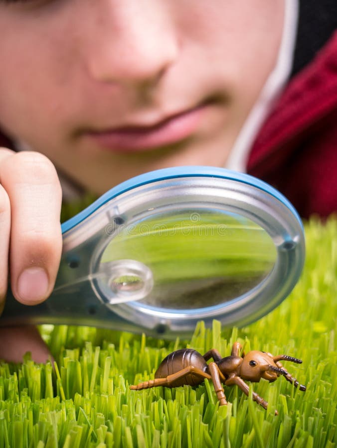 Child Observing Nature With A Magnifying Glass Stock Photo - Image of ...