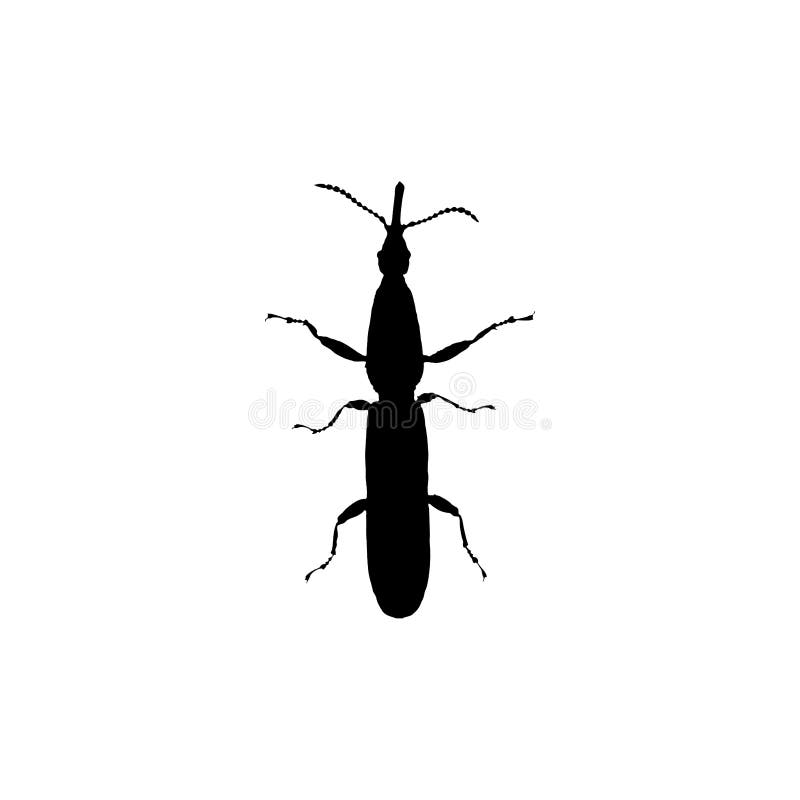 Bug Icon. Simple Style Bug Science Poster Background Symbol. Bug Brand ...
