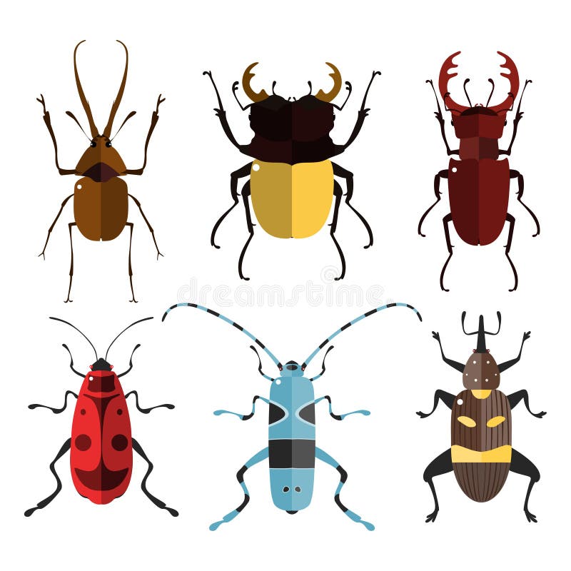 Bug icons. Insect set. stock vector. Illustration of bark - 71671150