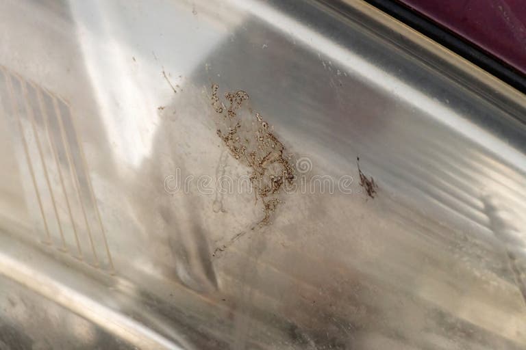 Bug Impact Splattered on Headlight Lens Stock Image - Image of lens ...
