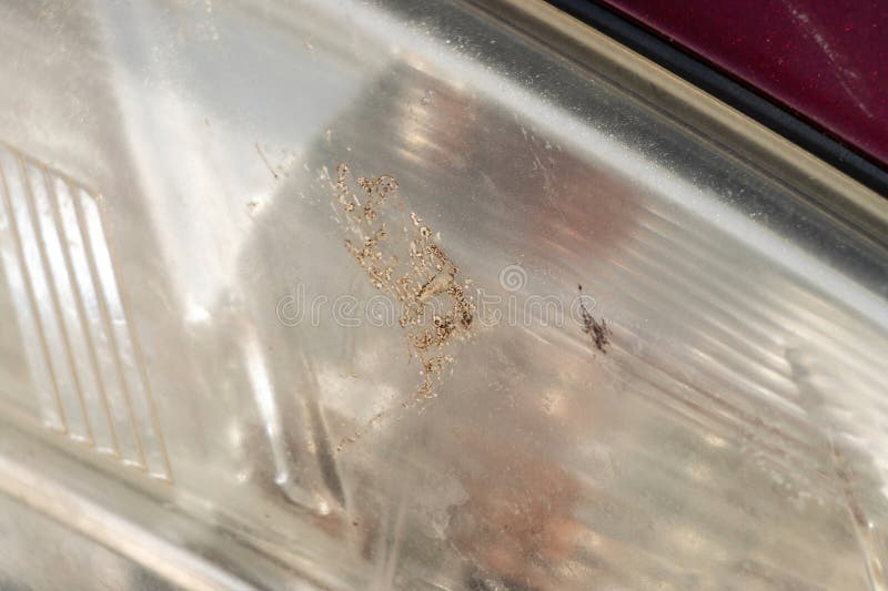 Bug Impact Splattered on Headlight Lens Stock Photo - Image of wing ...