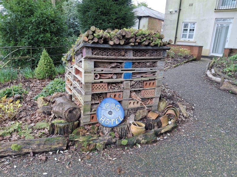 Bug and Insect Hotel Isolated Stock Image - Image of isola, isolated ...