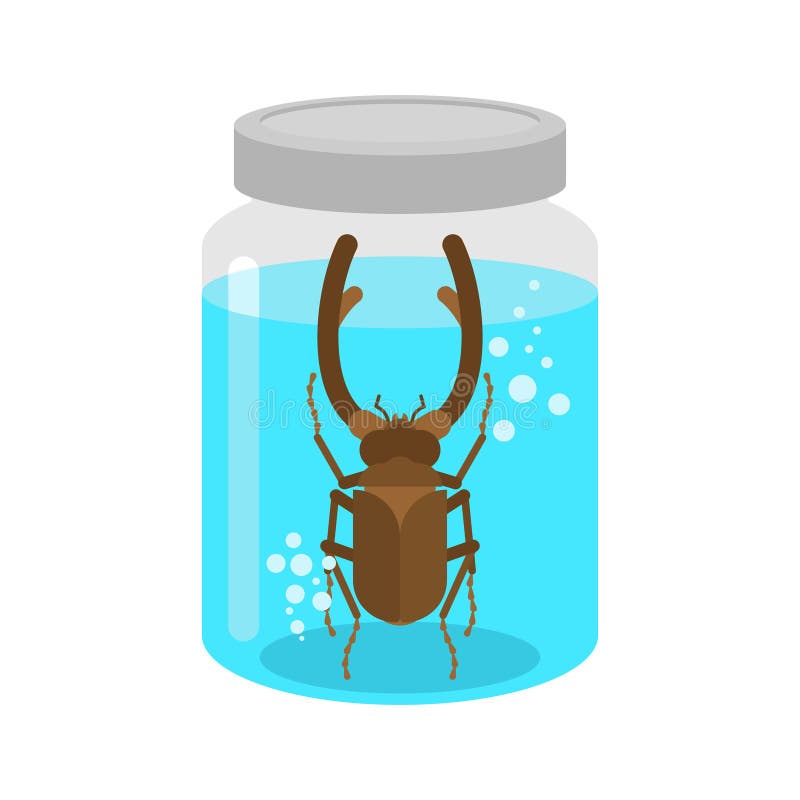 Bug Inside Glass Jar. Alchemical Experiment. Ancient Spells Stock ...