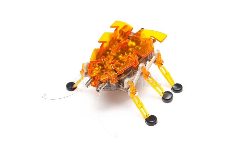 Bug isolé sur fond blanc photo stock. Image du exploration - 255015990