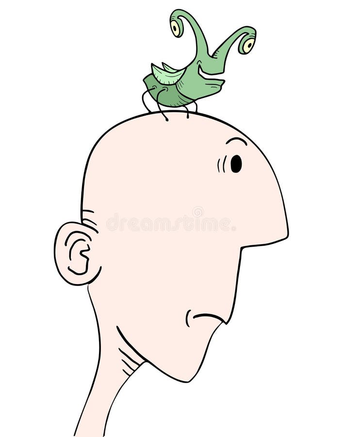 Squashed Bug Stock Illustrations – 16 Squashed Bug Stock Illustrations ...