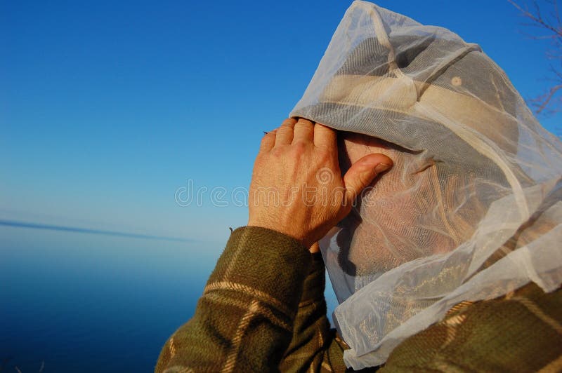 Bug Net stock photo. Image of insect, pest, beach, active - 7174318