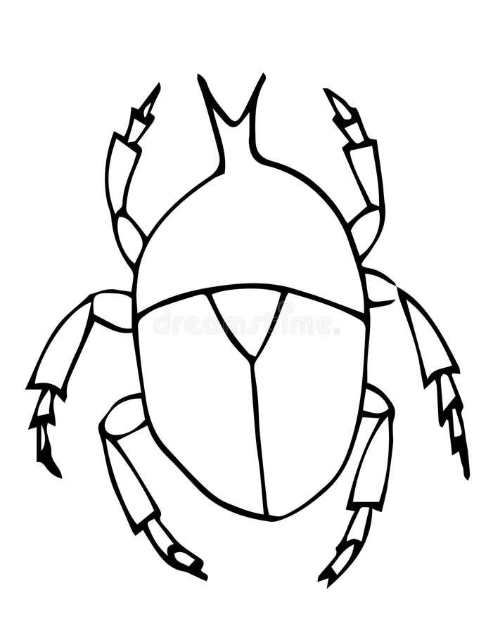 Insect Outline Vector, Icon. Coloring Page for Kids. Exotic Bug.hand ...