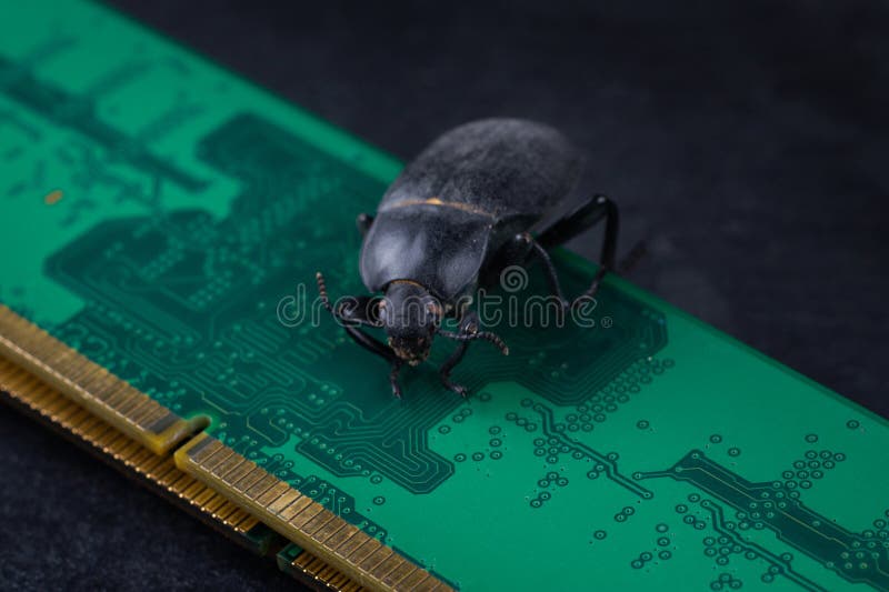 Bug on PC Memory Circuit Board. Computer Error Concept Stock Photo ...