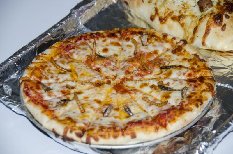 Bug pizza stock photo. Image of eating, italian, county - 45139886