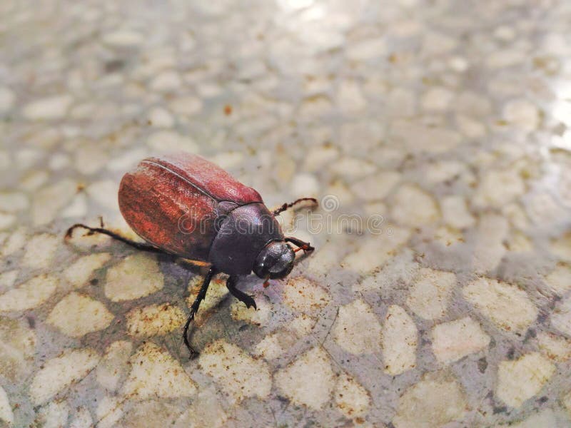 Realtime Associates Stock Photos - Free & Royalty-Free Stock Photos ...