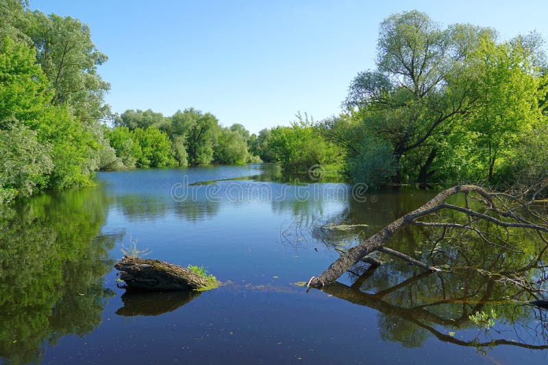 The Bug River, Poland stock image. Image of landscape - 71872975