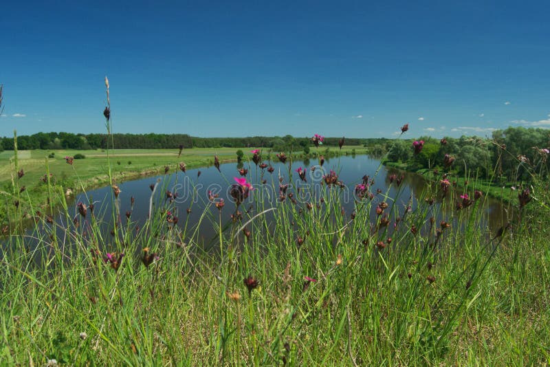 Bug River. Poland Wschodnia Stock Image - Image of lake, shore: 176348751
