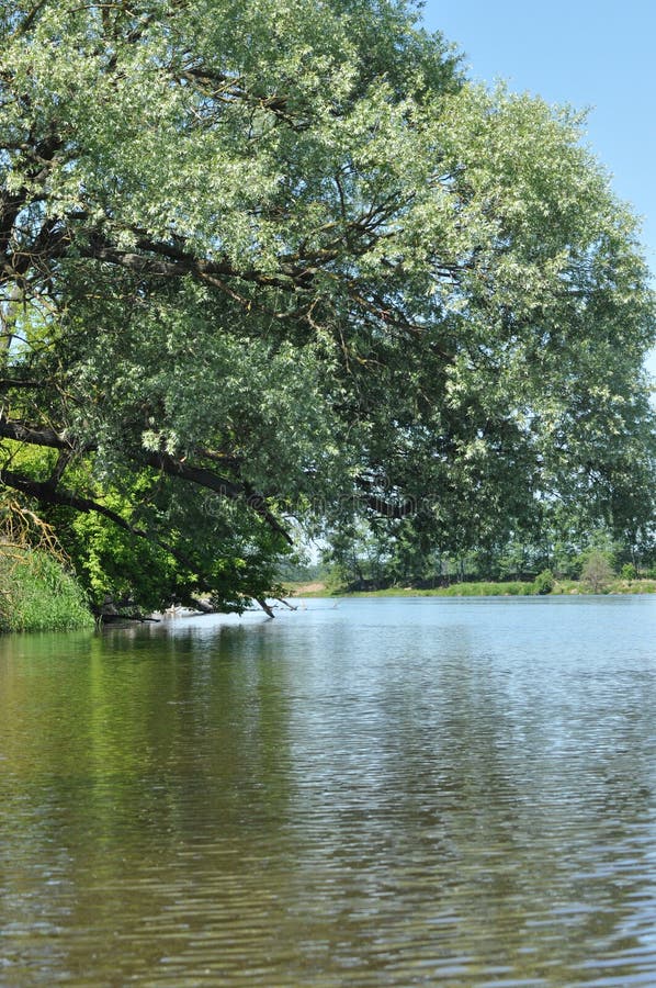 Bug River. Poland Wschodnia Stock Image - Image of bottom, border ...