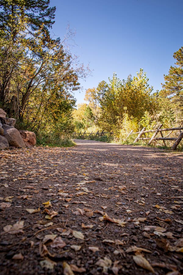 Bug s Eye View stock photo. Image of fence, rocks, autumn - 258673700