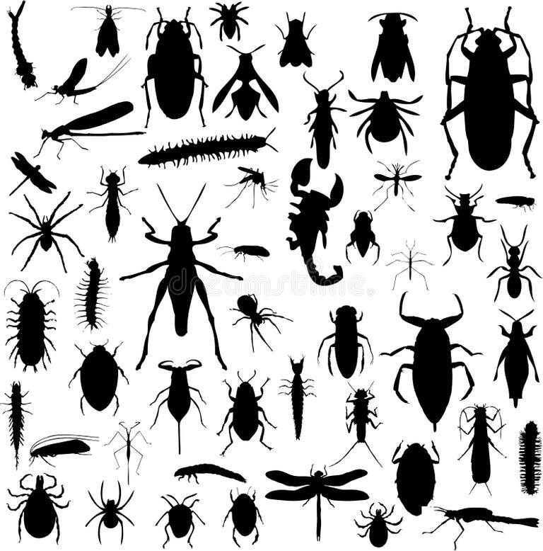 Bug Outline Stock Illustrations – 39,526 Bug Outline Stock ...