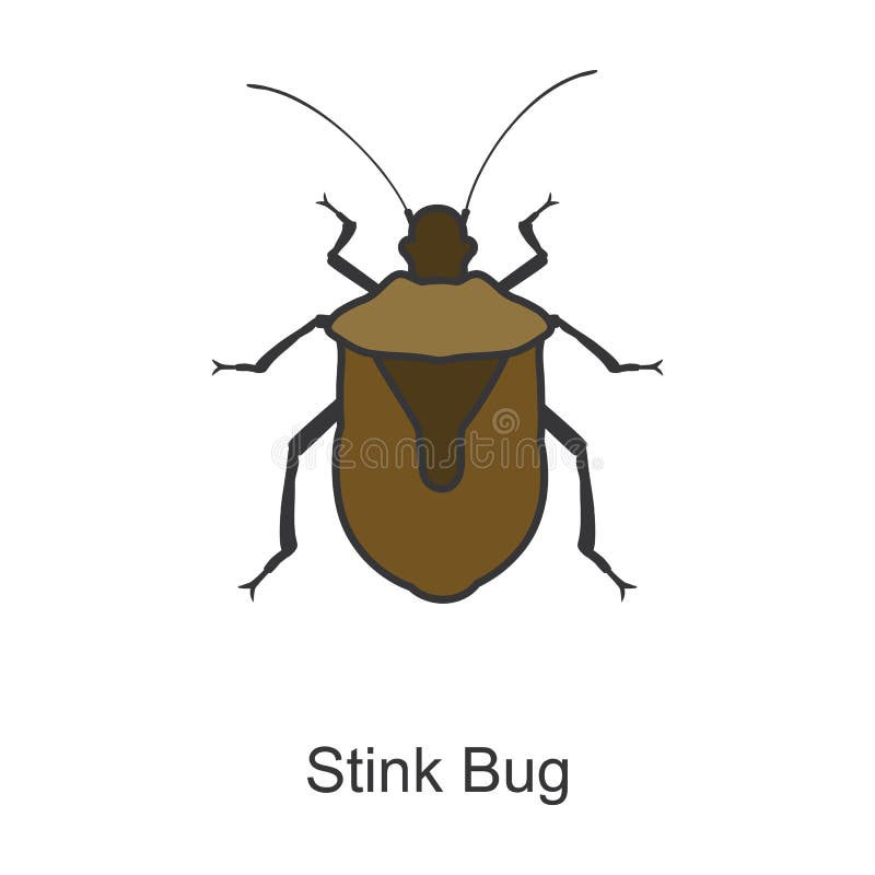 Bug Stink Vector Icon.Color Vector Icon Isolated on White Background ...