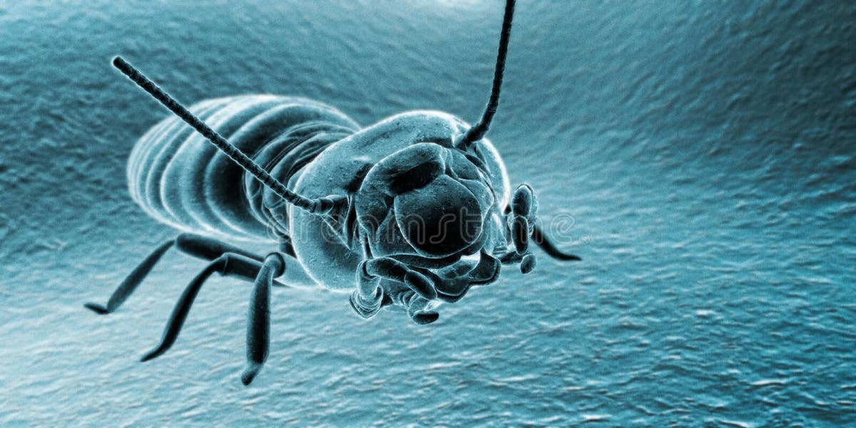 Scared Bug Stock Illustrations – 1,058 Scared Bug Stock Illustrations ...