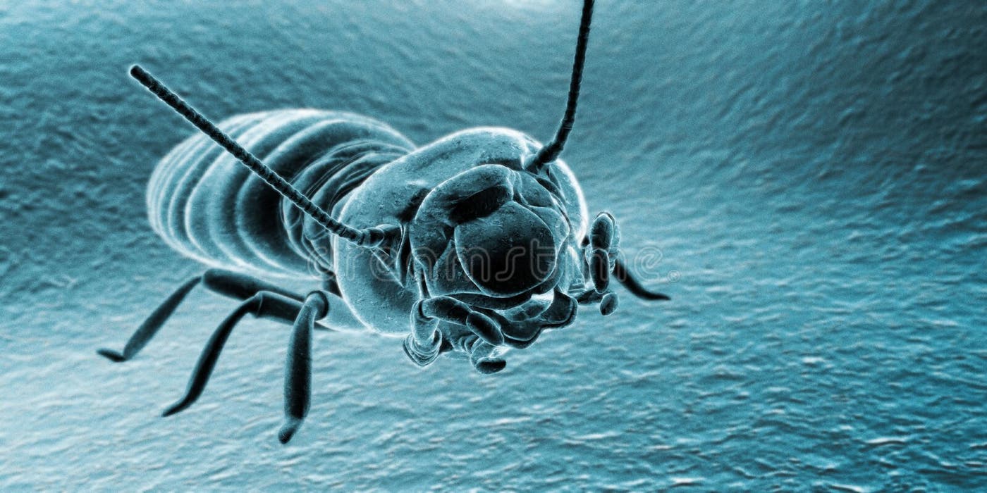 Scared Bug Stock Illustrations – 936 Scared Bug Stock Illustrations ...