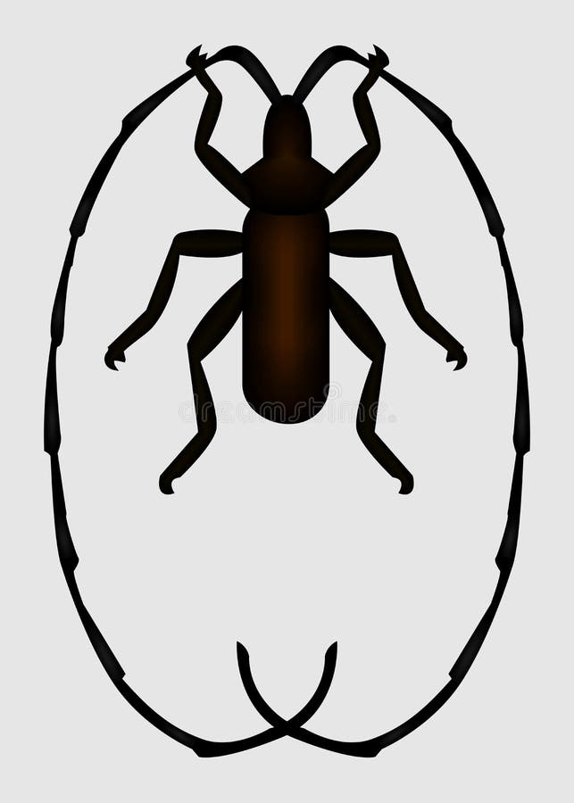 Bug. Vector. stock illustration. Illustration of artwork - 59838707