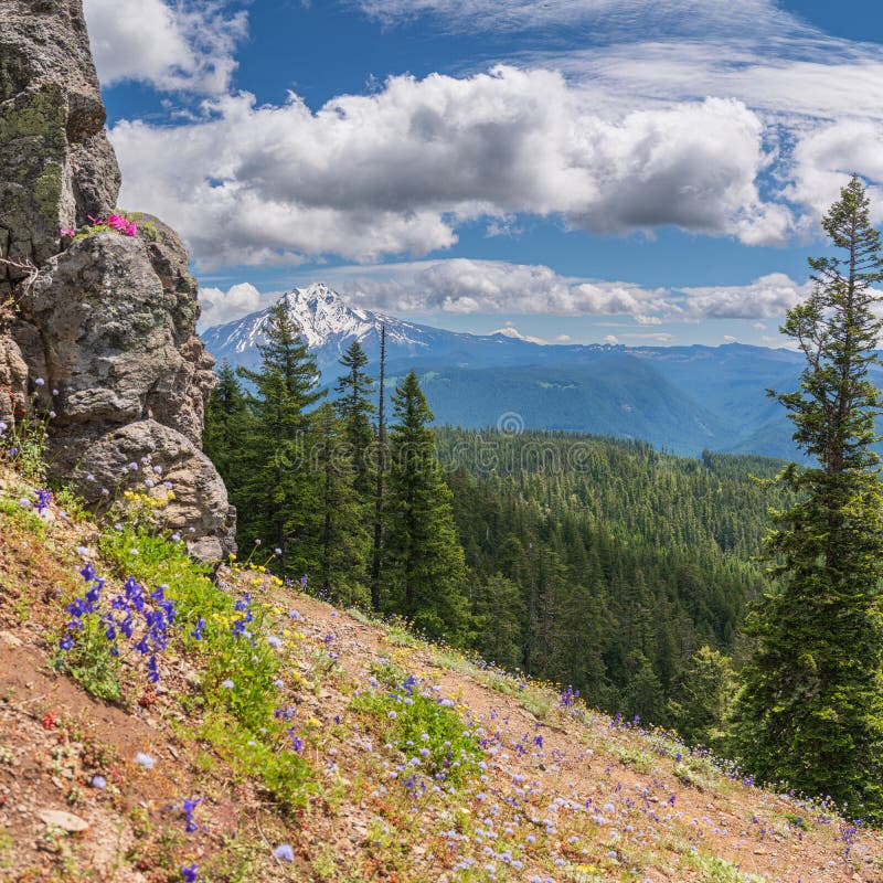 Bugaboo Ridge Trail stock image. Image of cascades, native - 256281319