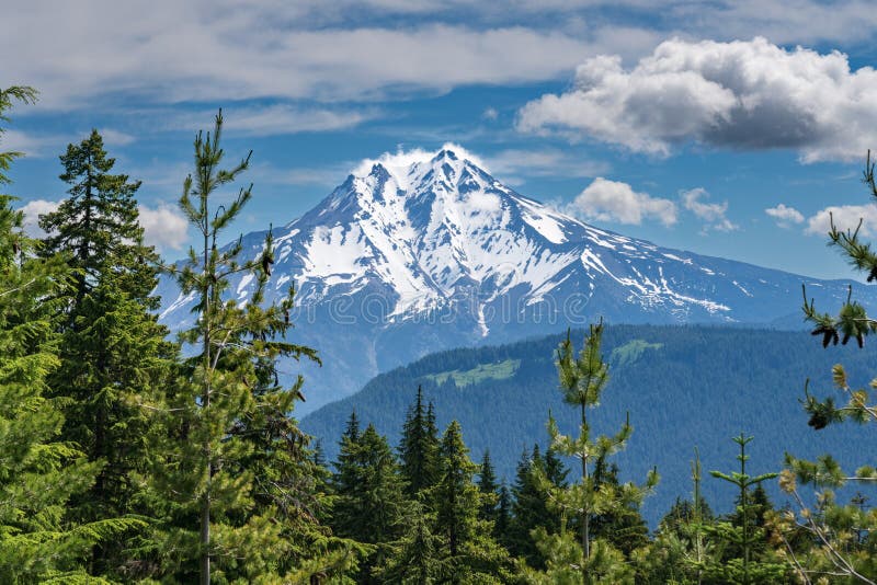 Bugaboo Ridge Trail stock photo. Image of wildflowers - 256281372