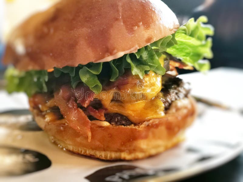 Bugger on table stock image. Image of dinner, onion - 170357889