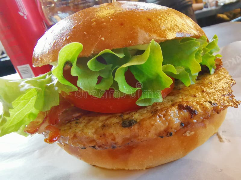 288 Bugger Stock Photos - Free & Royalty-Free Stock Photos from Dreamstime