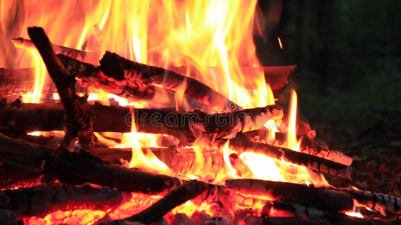 The Flame of the Campfire is Burning in the Campsite. Stock Video ...