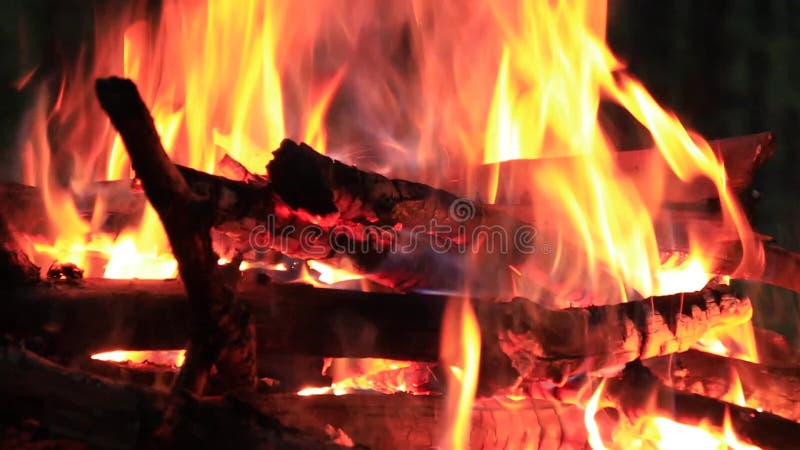 The Flame of the Campfire is Burning in the Campsite. Stock Footage ...