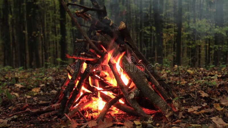 The Flame of the Campfire is Burning in the Campsite. Stock Video ...