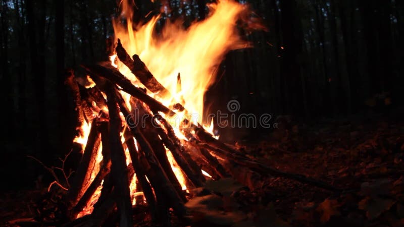 The Flame of the Campfire is Burning in the Campsite. Stock Video ...