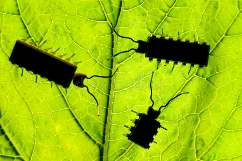 30,413 Bugs Photos - Free & Royalty-Free Stock Photos from Dreamstime