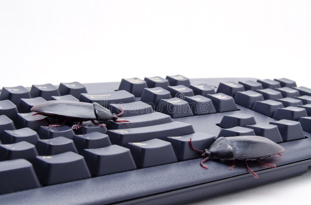 Bugs on a Computer Keyboard Stock Image - Image of typing, desktop ...